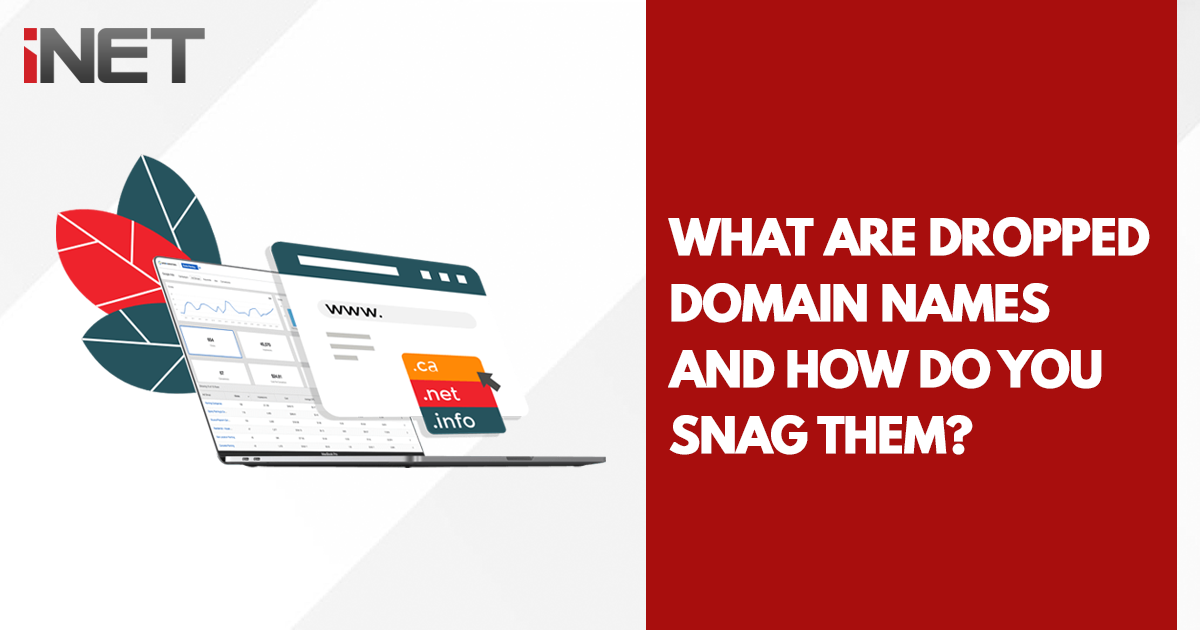 Wish to buy expired domains? Here’s an insight to Dropped Domains ...